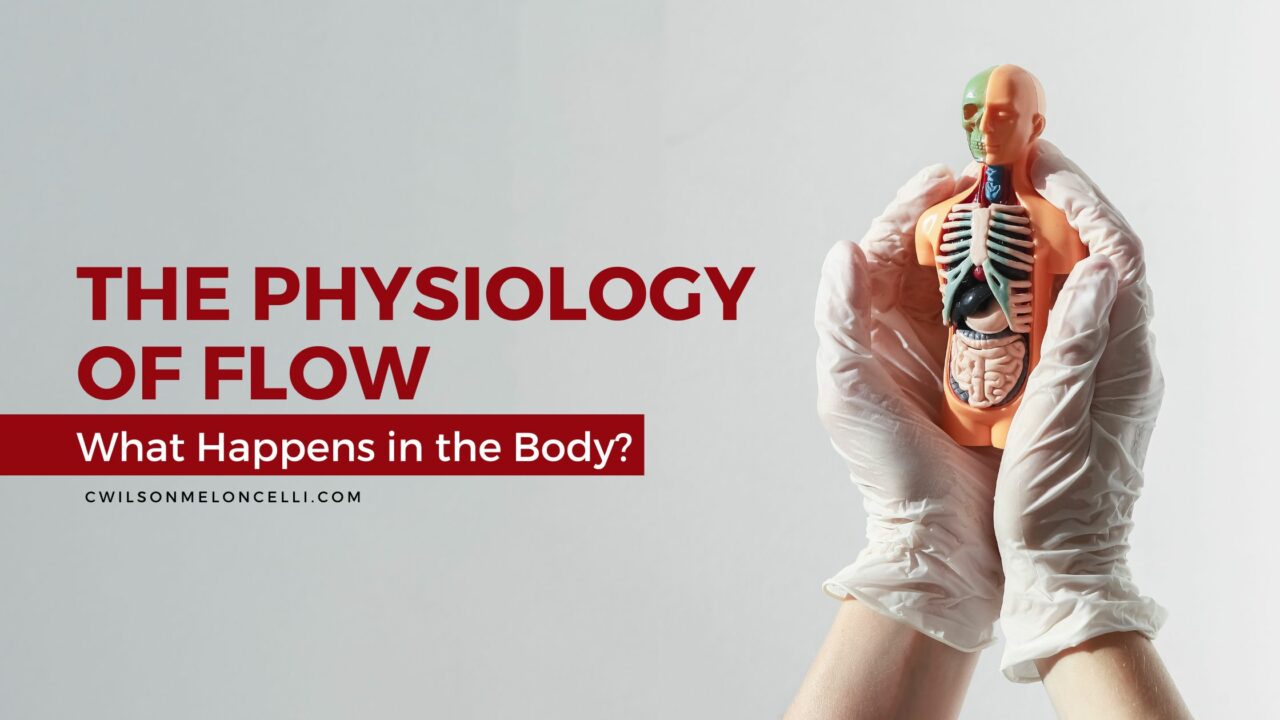 Physiology of Flow: How Your Body Achieves Optimal Performance