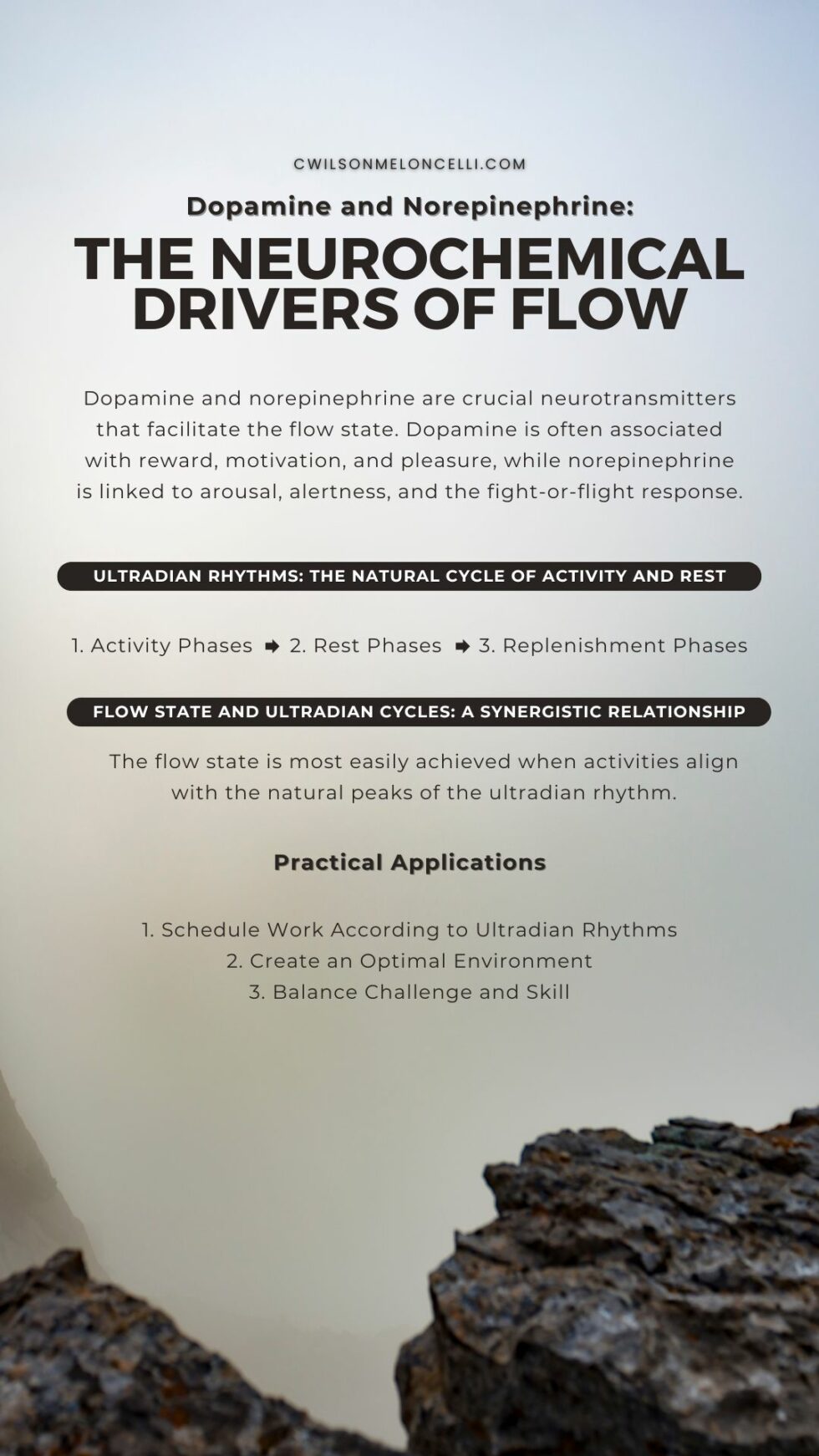 Unlocking Peak Performance: Dopamine, Norepinephrine, and Ultradian Rhythm